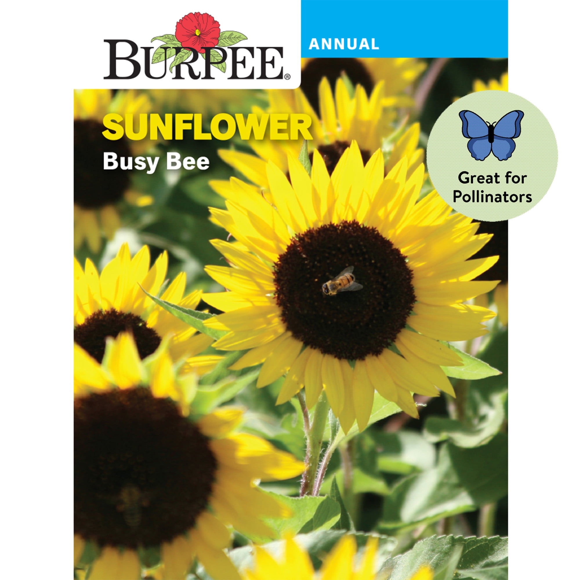 Burpee Busy Bee Sunflower Flower Seed, 1-Pack - Walmart.com