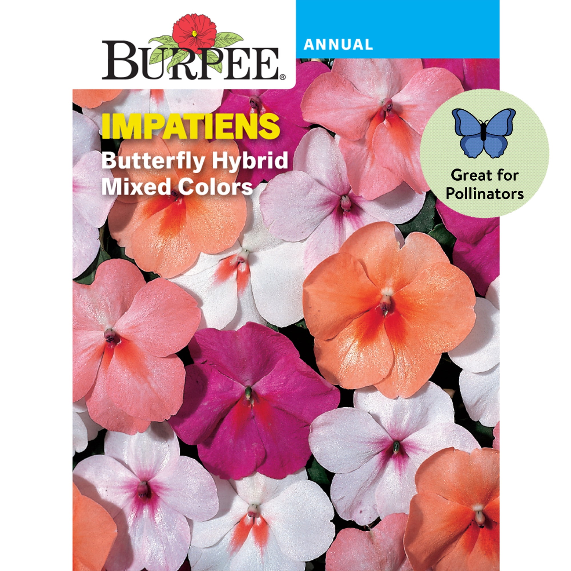 Customer reviews for Burpee Butterfly Hybrid Mixed Colors Impatiens ...
