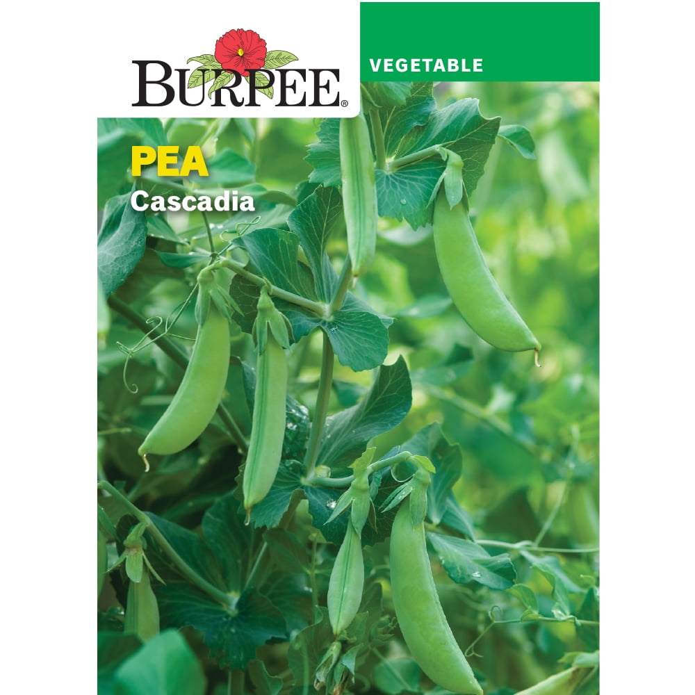 Burpee Cascadia Pea Annual Vegetable Seed, 1-Pack, Full Sun - Walmart.com