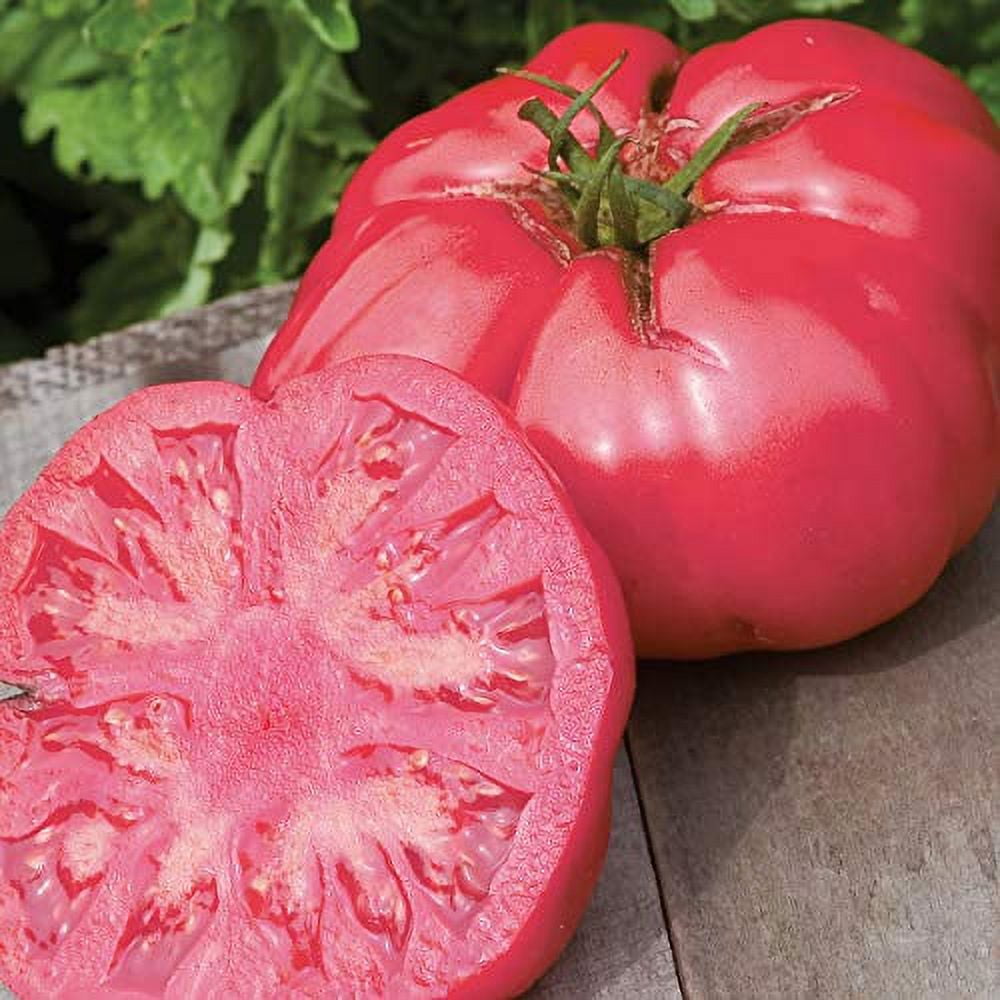 Burpee 'Caspian Pink' Heirloom | Large Pink Beefsteak Slicing Tomato ...