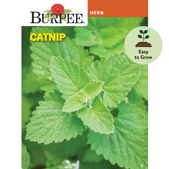 Burpee Seed Catalogue