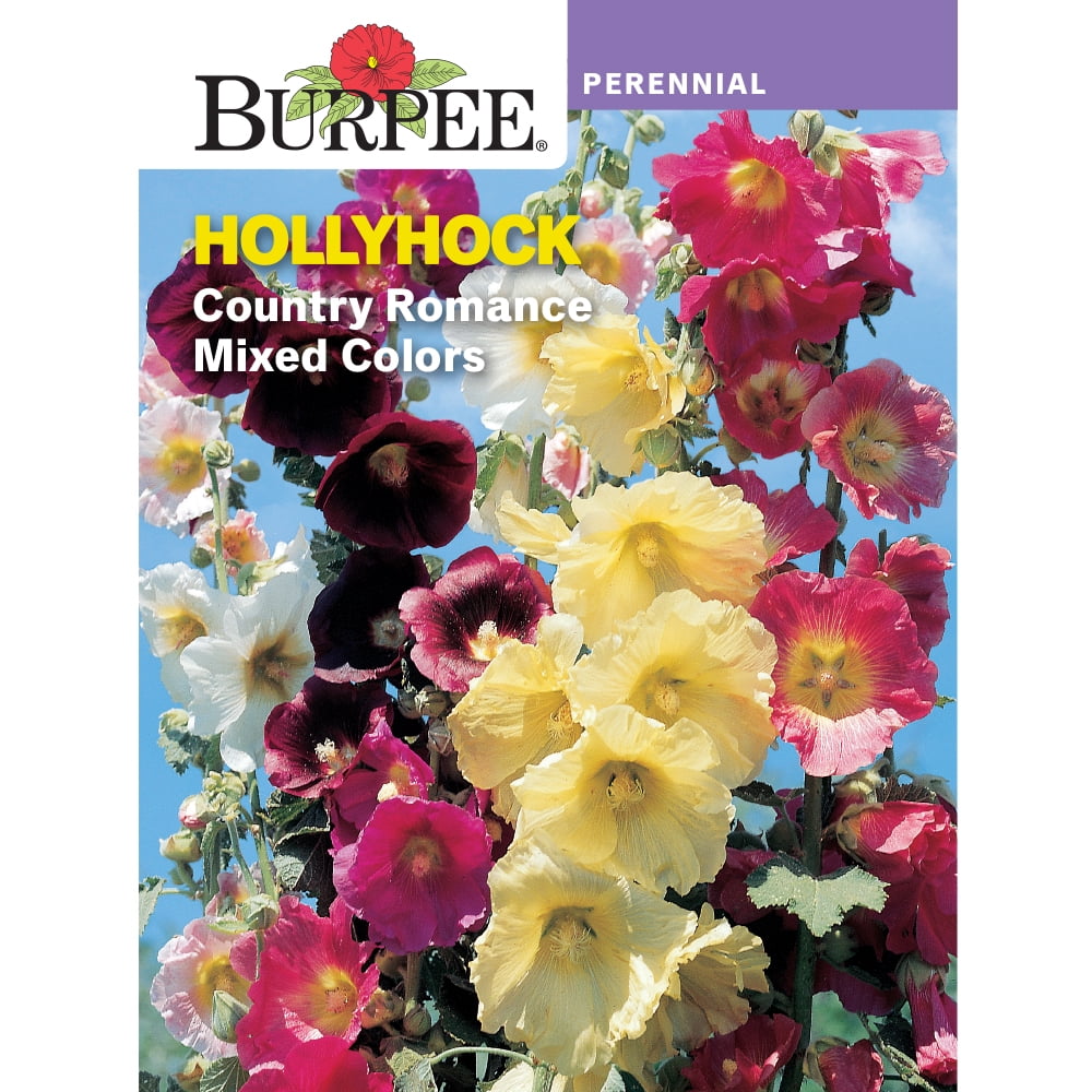 Burpee Mixed Colors Hollyhock Flower Seed, 1-Pack, 3-5" Flowers ...