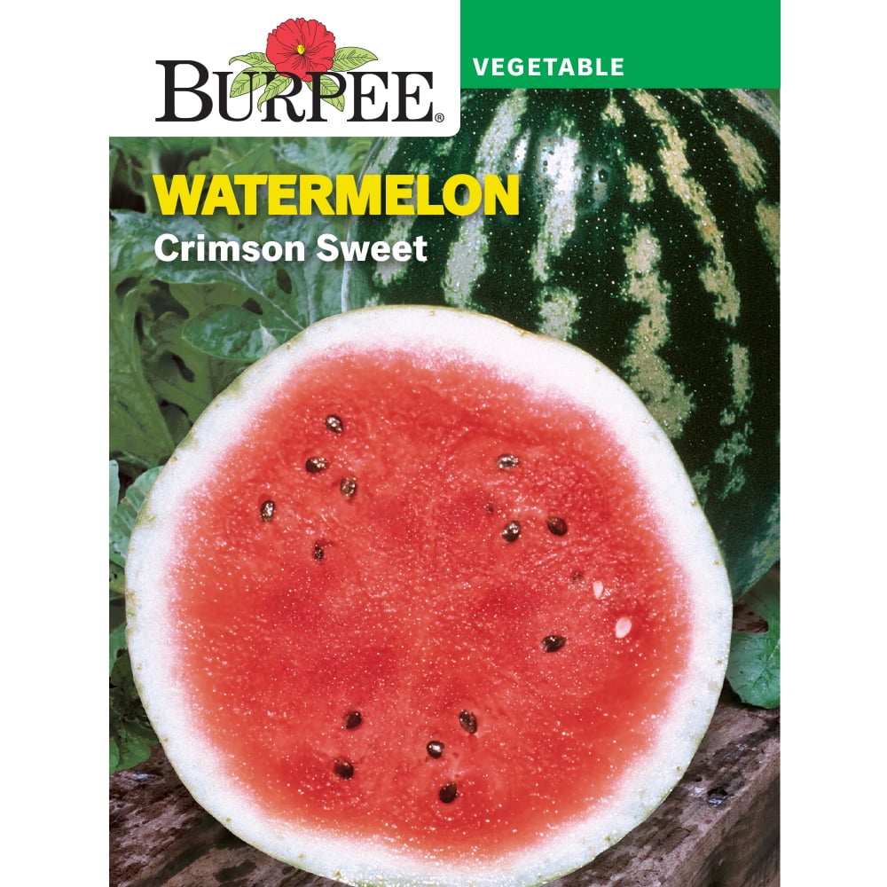 Burpee Crimson Sweet Watermelon Seed, Annual Fruit, Full Sun, 25 lb ...