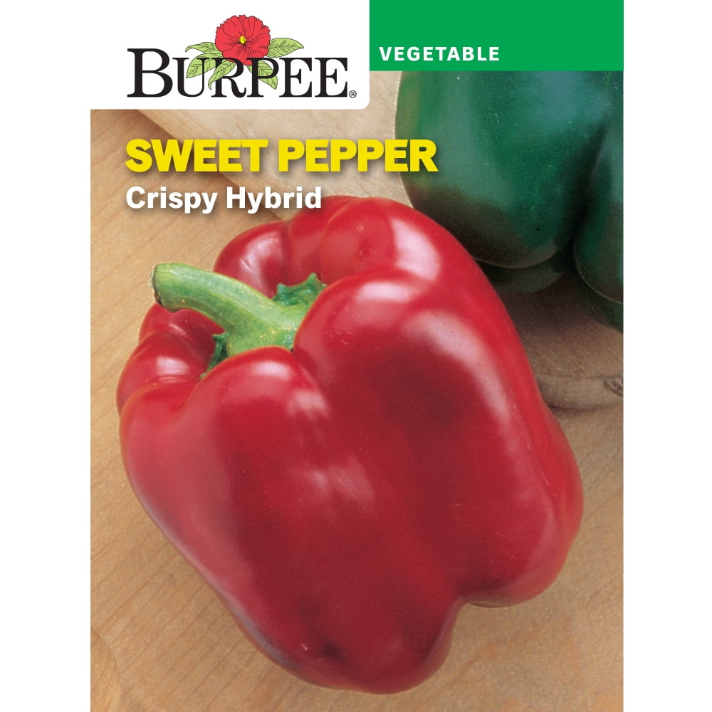 Burpee Crispy Hybrid Sweet Pepper Vegetable Seed, 1-Pack - Walmart ...