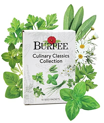 Burpee Culinary Classics Garden Collection 10 Packets of Non-GMO Chives ...