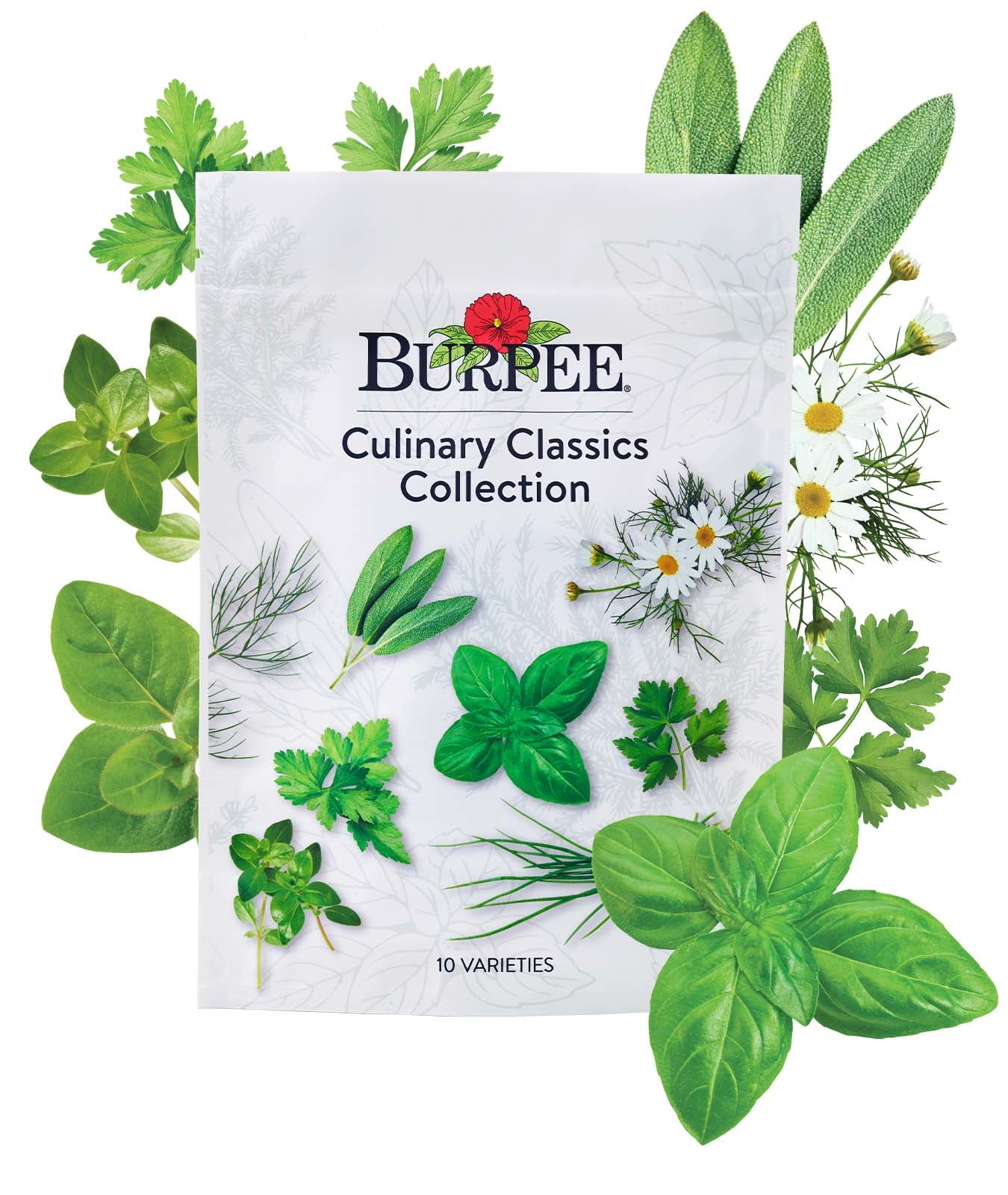 Burpee Culinary Classics 10 Herb Plant Seeds, Non-GMO - Walmart.com