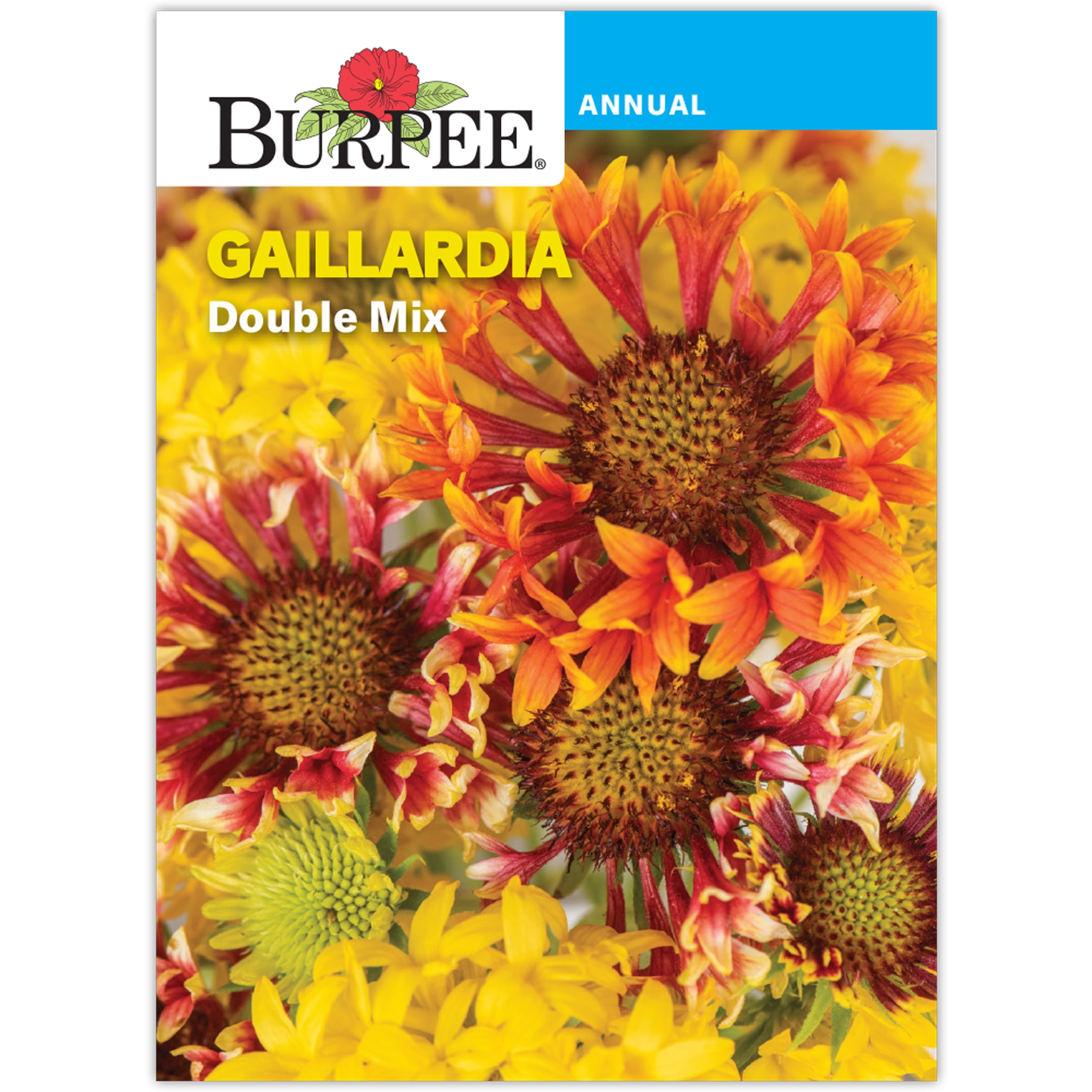 Burpee Double Mix Gaillardia Annual Flower Seed, 1-Pack, Full Sun ...