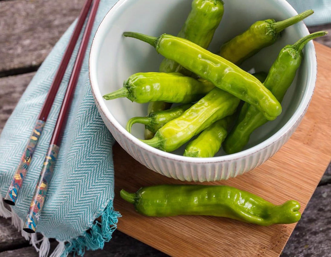 Burpee Dragon Roll Pepper Plant - Mild Sweet Flavor - 4" Pot - No GMO's ...