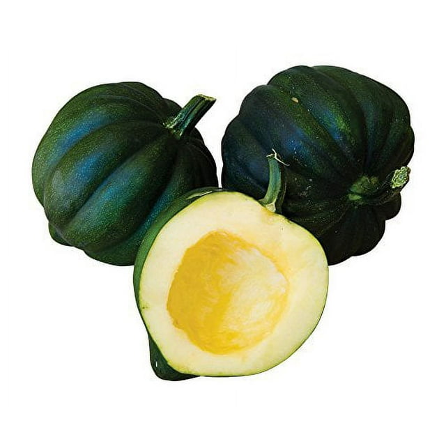 Burpee Early Acorn Hybrid Winter Squash Seeds 25 seeds - Walmart.com