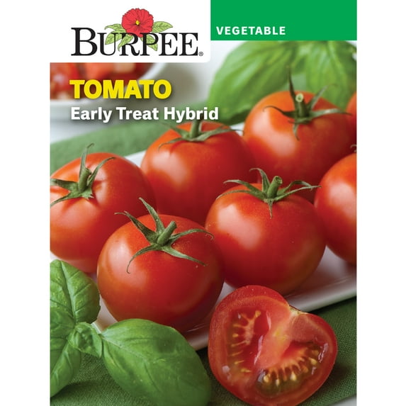 Burpee Early Treat Hybrid Tomato, Annual Vegetable Seed, 1-Pack, Full ...