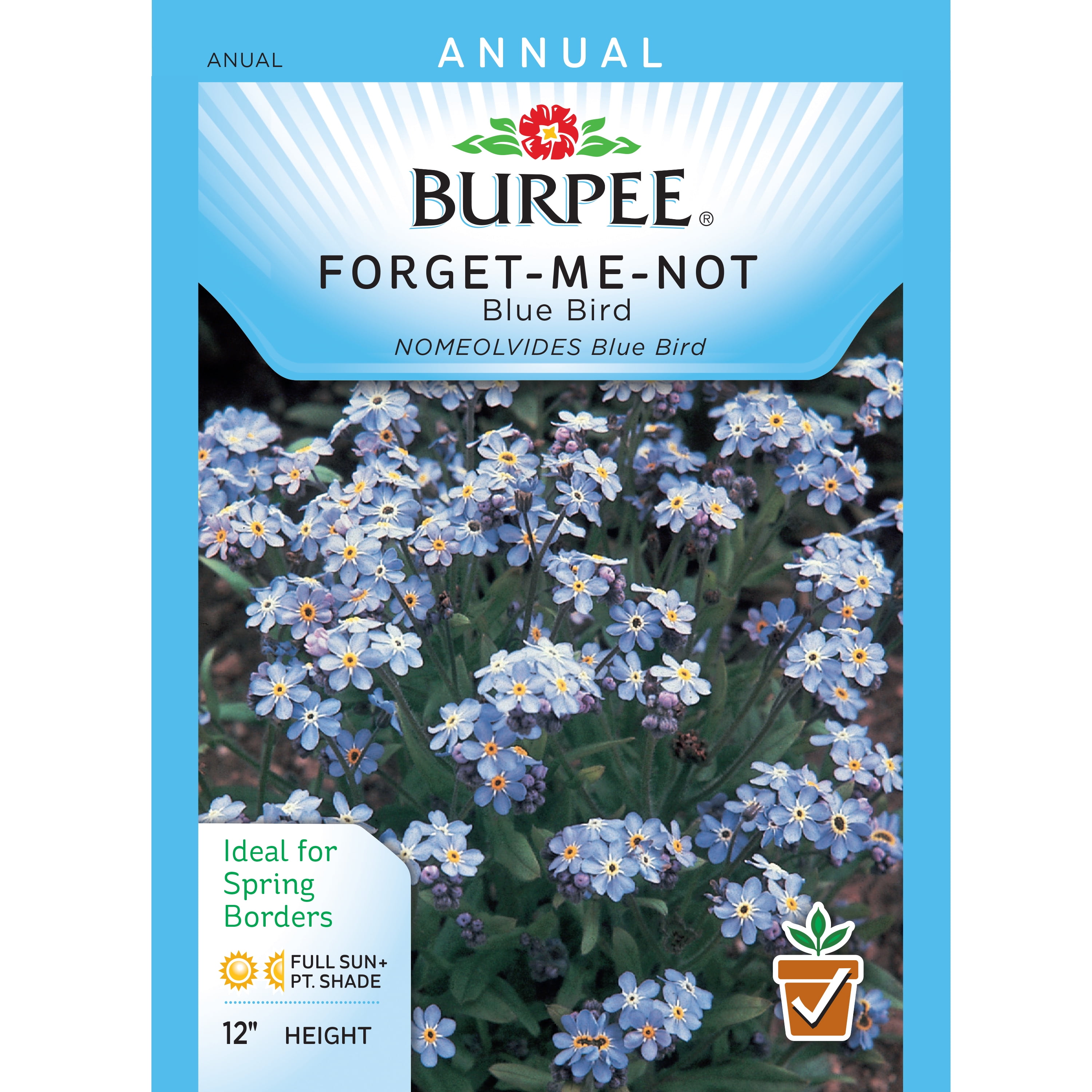 Burpee Flower Seed - Walmart Business Supplies