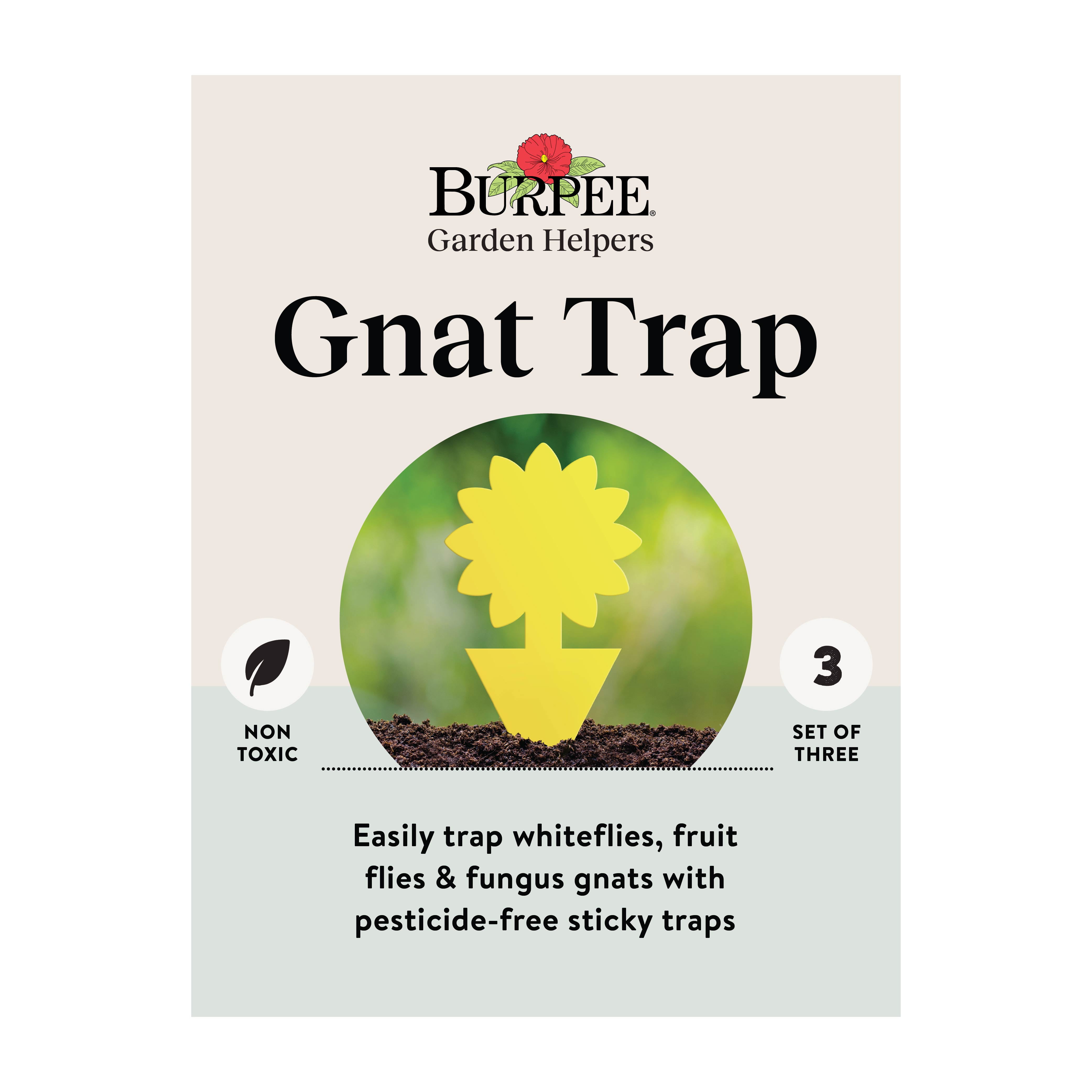 Burpee Fungus Gnat Trap (3 per Pack) - Walmart.com