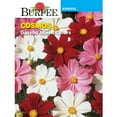 Burpee Gazebo Mixed Colors Cosmos Flower Seed, 1-Pack - Walmart.com