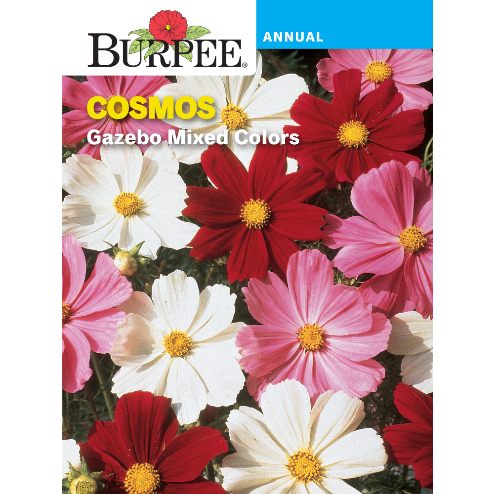 Sonata Mix Cosmos Flower Seeds - 500 Seeds - Annual Flower Gardening ...