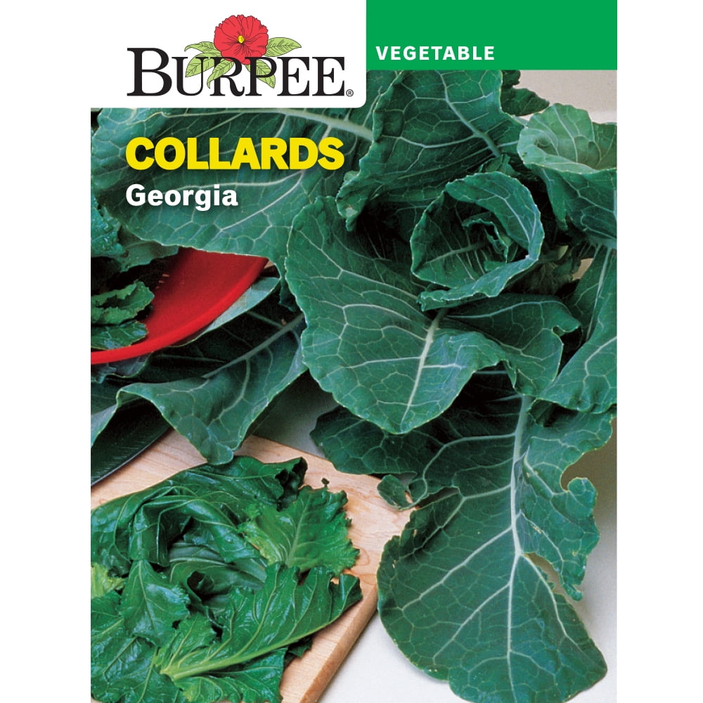 Burpee Georgia Collards Vegetable Seed, 1-Pack - Walmart.com