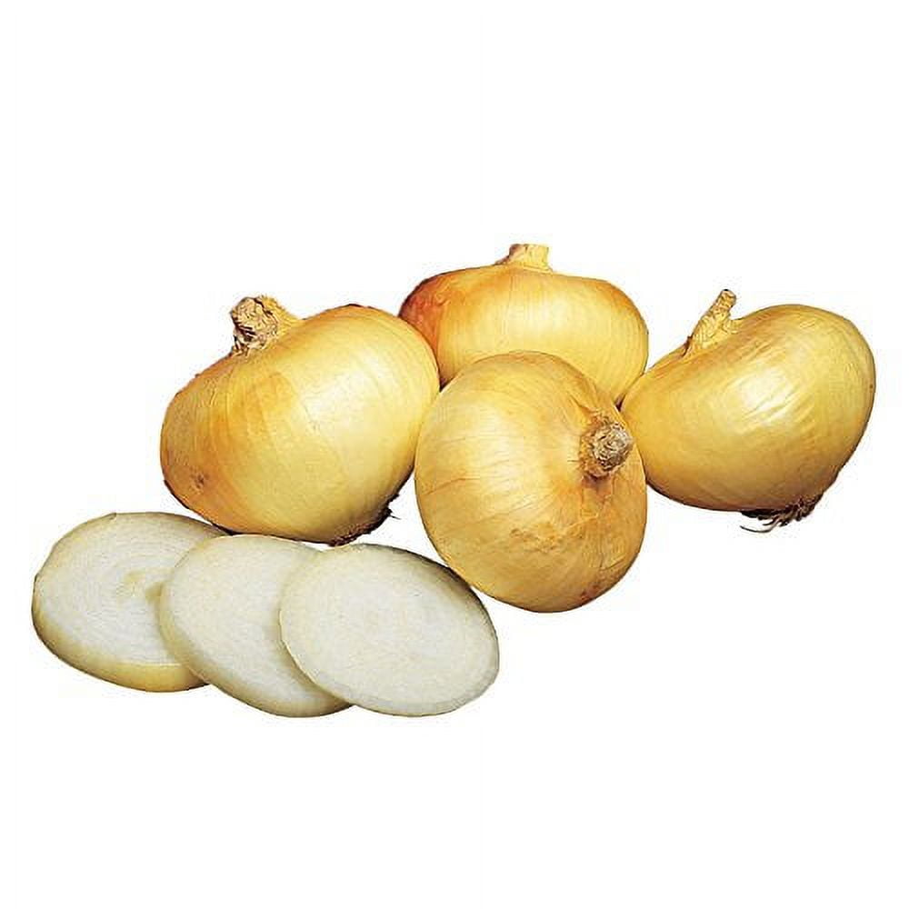Burpee Granex Yellow Onion .. Seeds 450 seeds - Walmart.com