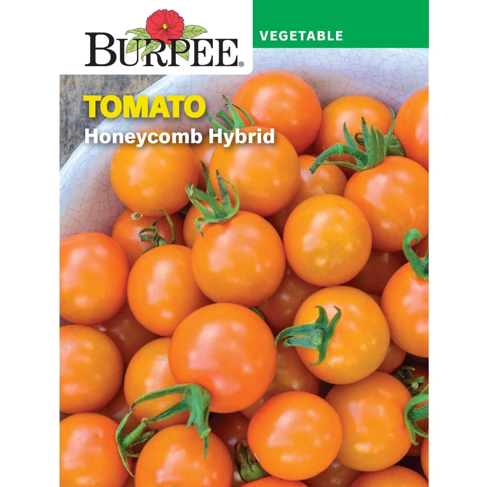 Burpee Honeycomb Tomato Vegetable Seeds, Golden Orange, Aromatic Flavor ...