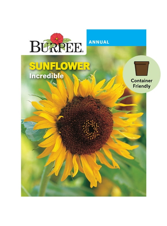 Sunflower Flower Seeds in Seed Gardening - Walmart.com
