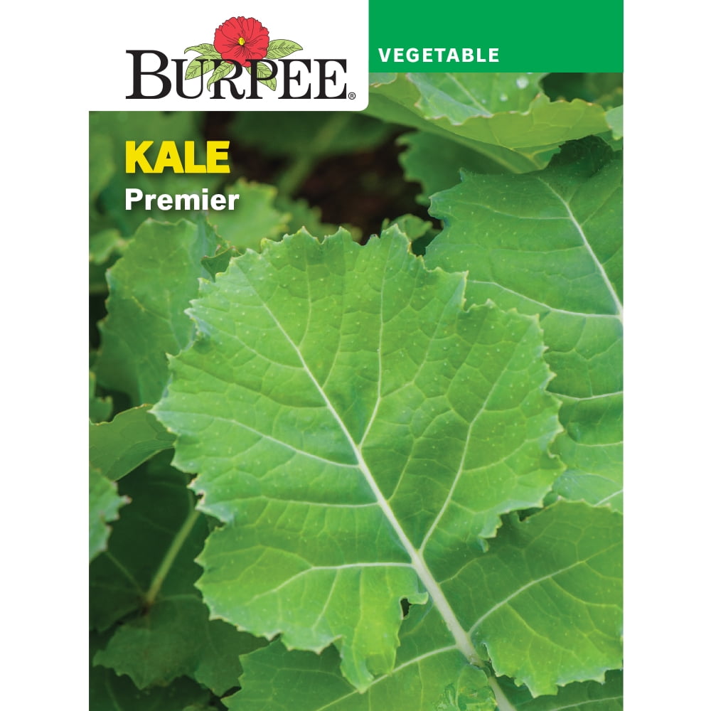 Burpee-Kale, Premier Seed Packet - Walmart.com