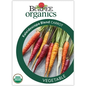 Carrot Seeds in Seed Gardening - Walmart.com