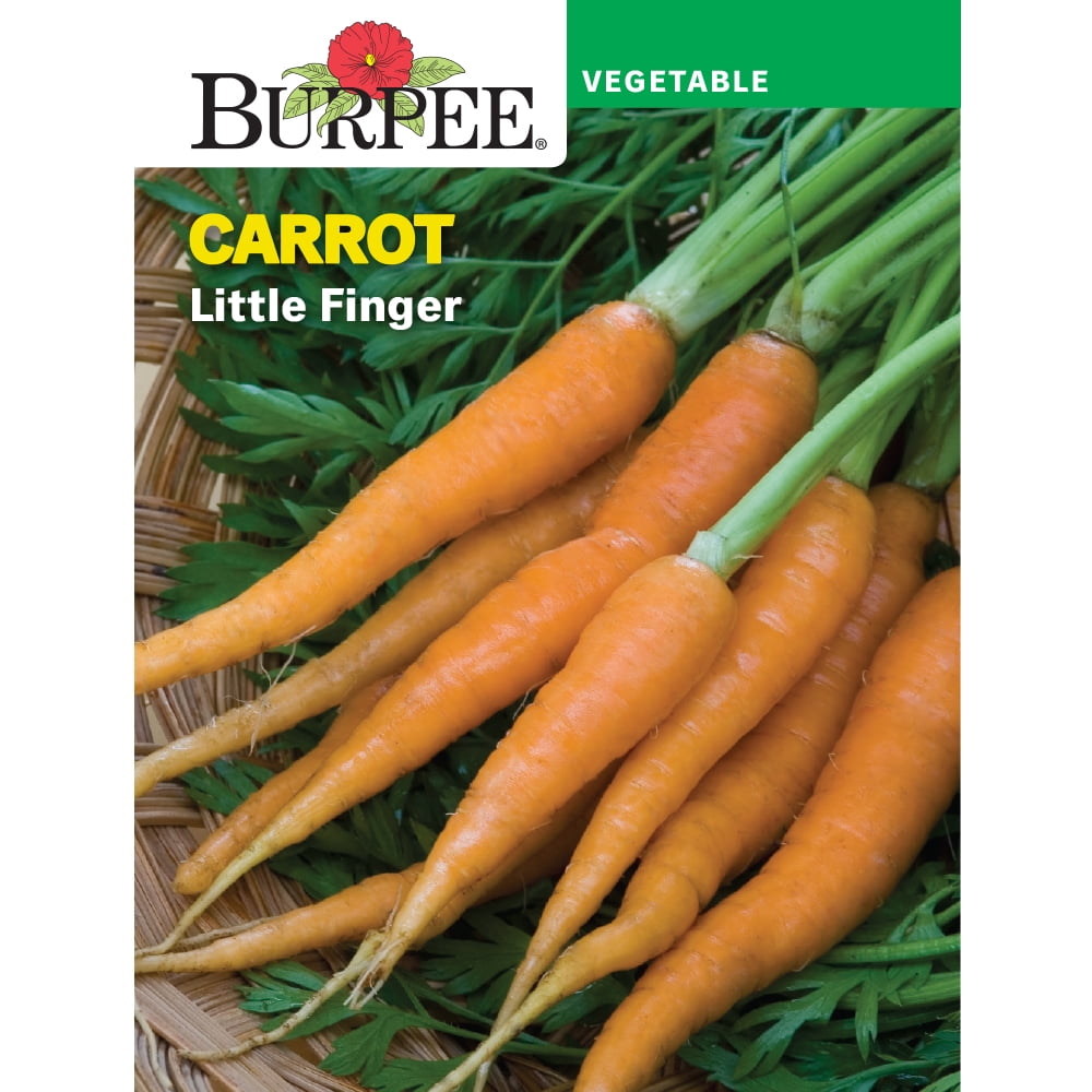 Burpee Little Finger Carrot Seeds - Non-GMO, Vegetable Gardening Seeds ...