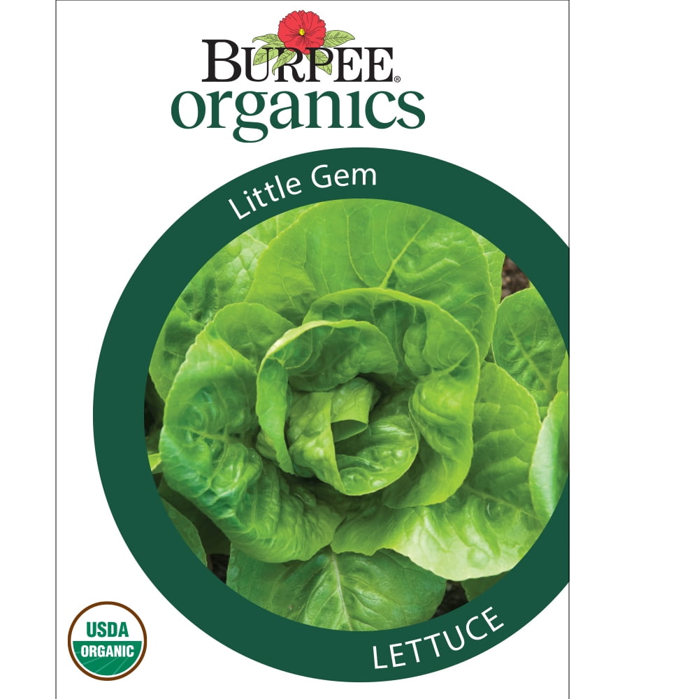 Burpee Little Gem Lettuce 1 Pack Annual, Vegetable - Walmart.com