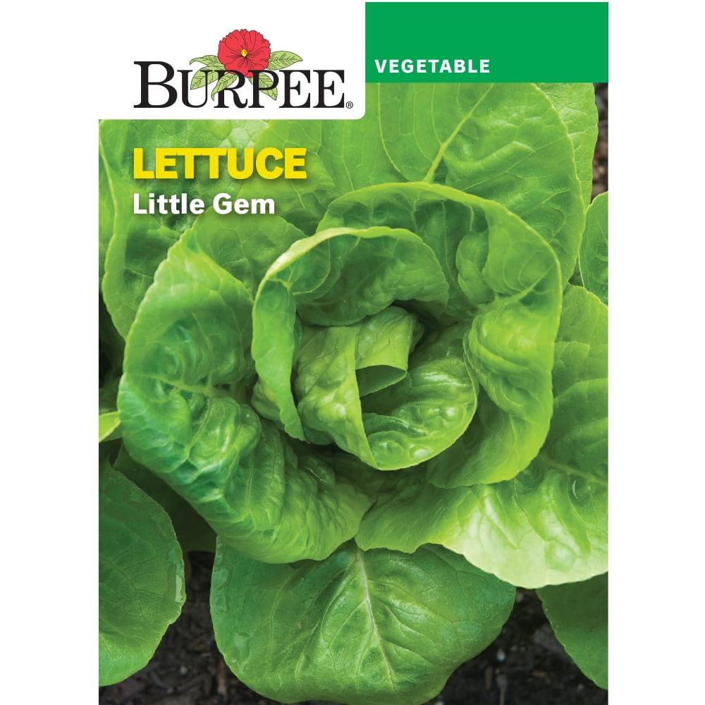 Burpee Little Gem Vegetable Seed - Walmart.com