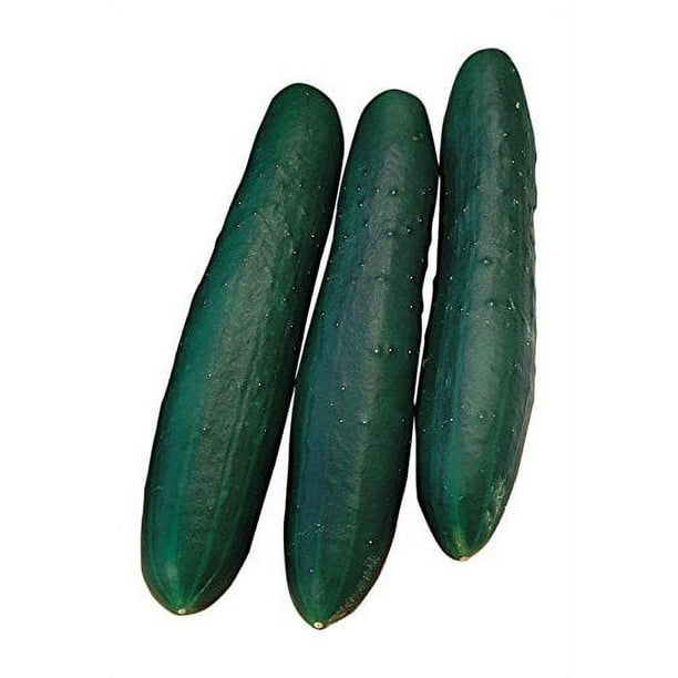 Burpee Marketmore 76 Slicing Cucumber Seeds 125 seeds - Walmart.com