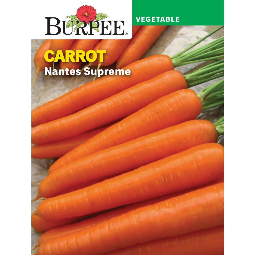 Burpee Nantes Supreme Carrot Annual Vegetable Seed, 1-Pack, Full Sun ...