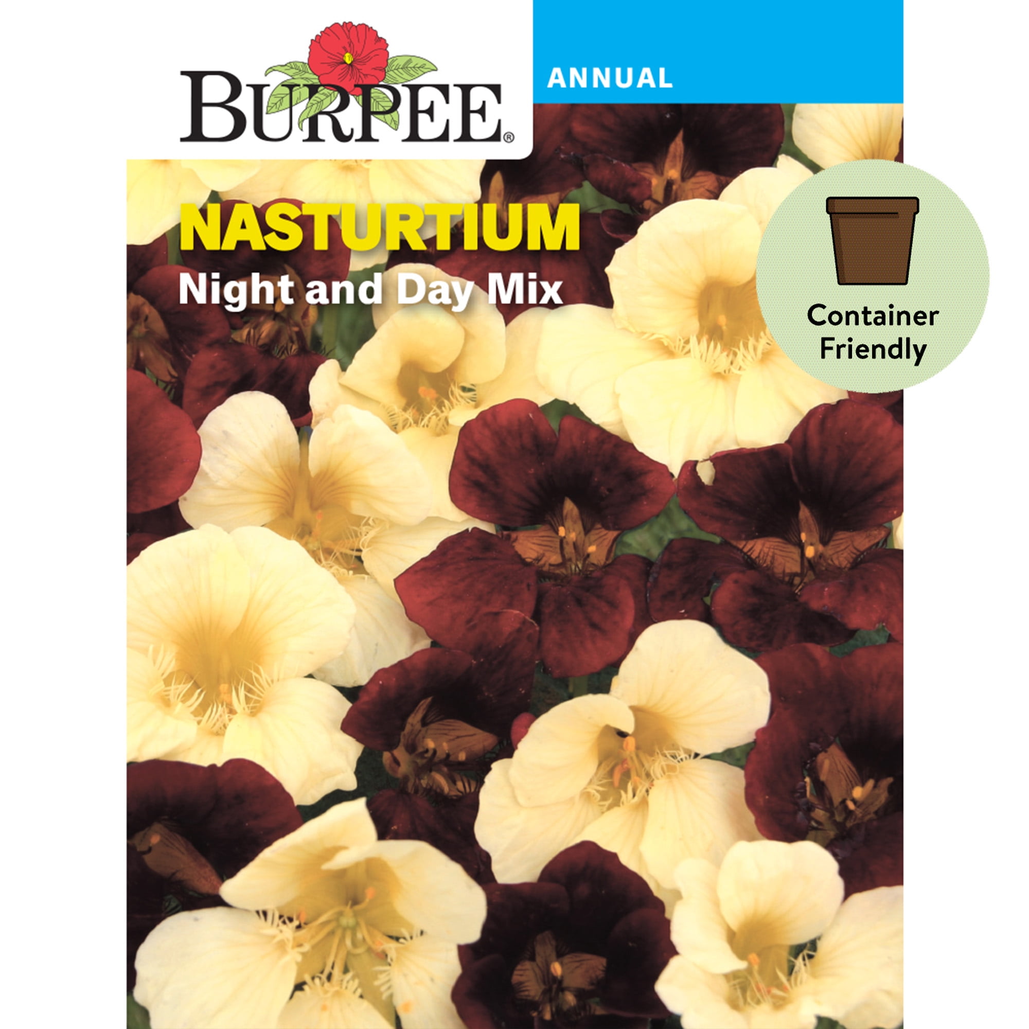 Burpee Night and Day Mix Nasturtium Flower Seed, 1-Pack - Walmart.com