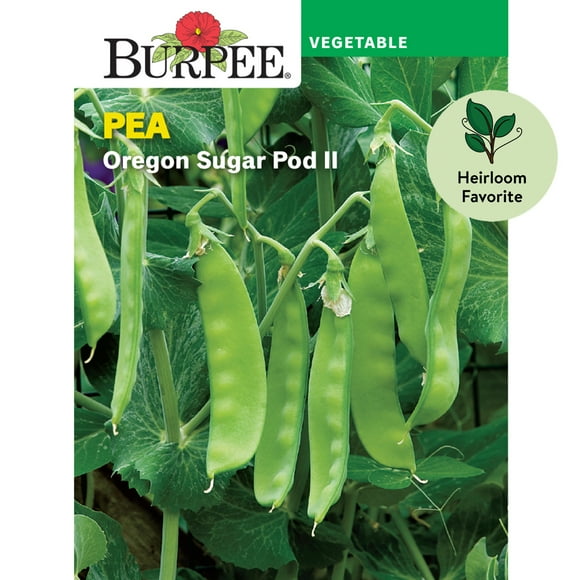 Pea Seeds in Seed Gardening - Walmart.com