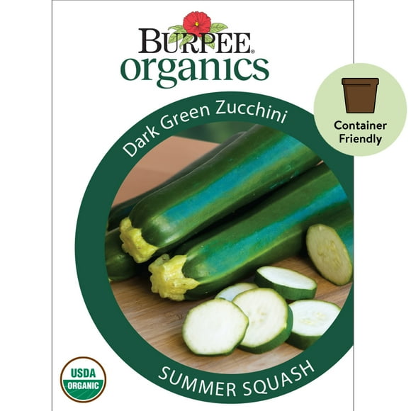 Squash Seeds in Seed Gardening - Walmart.com