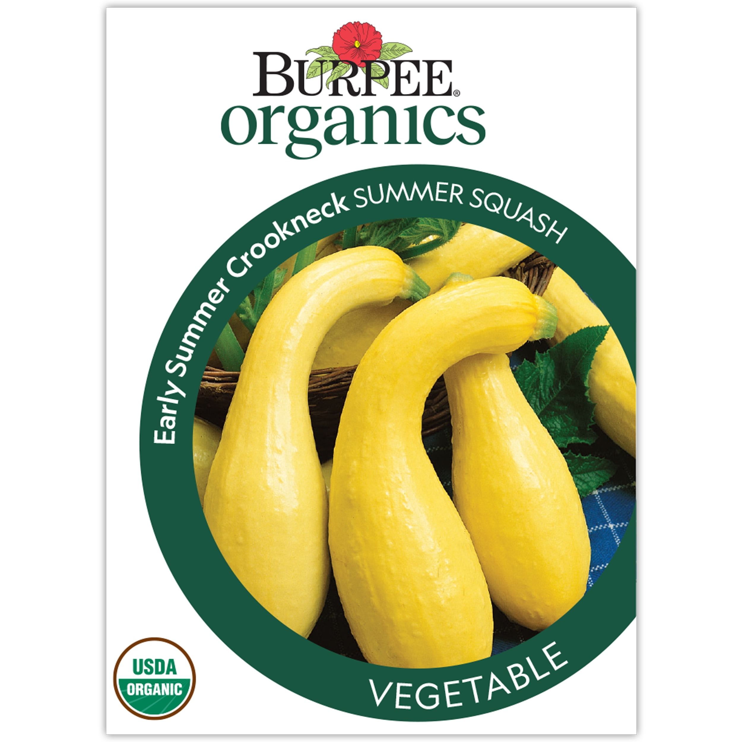 Burpee Organic Early Summer Crookneck Summer Squash Vegetable Seed, 1 ...
