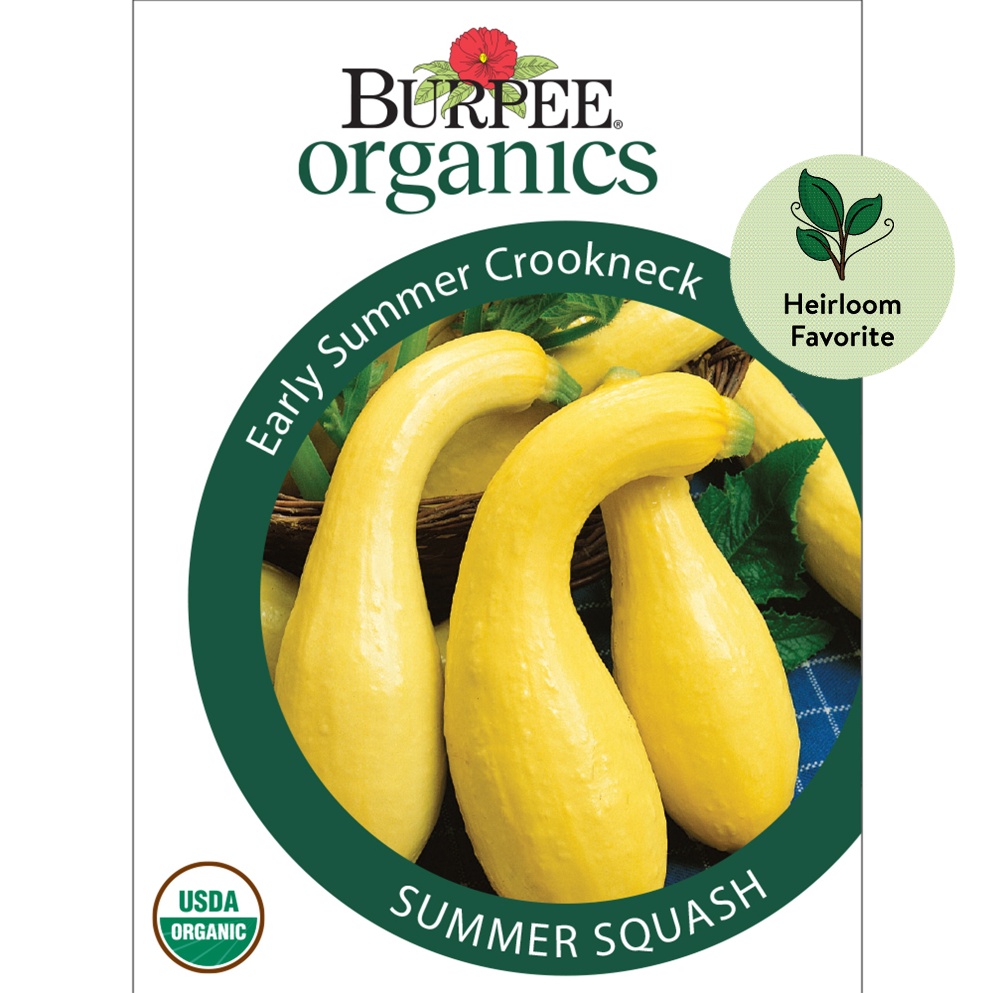 Crookneck Summer Squash Garden Seeds - 4 g Packet - Organic, Heirloom ...