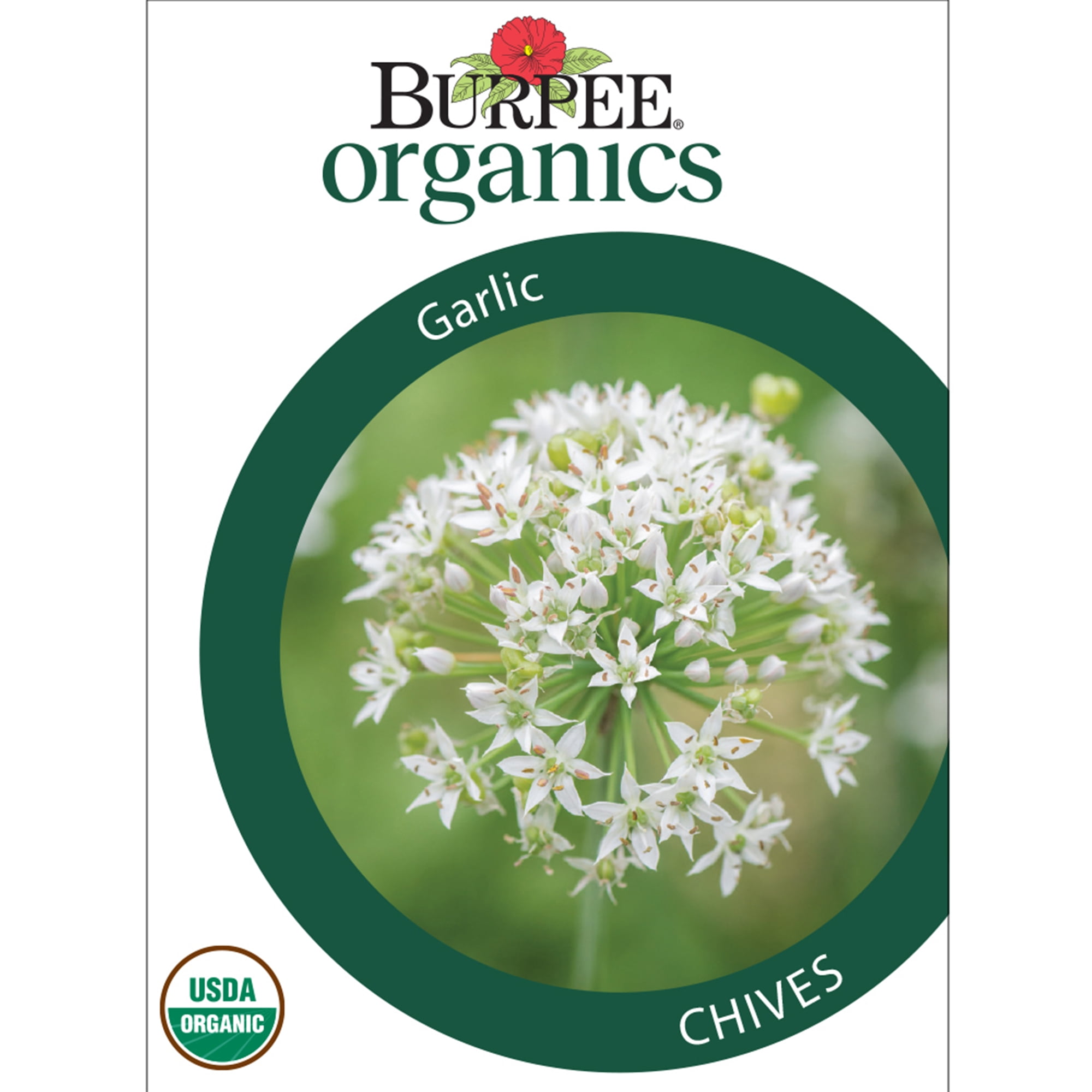 Burpee Organic Garlic Chives Herb Seed, 1-Pack - Walmart.com