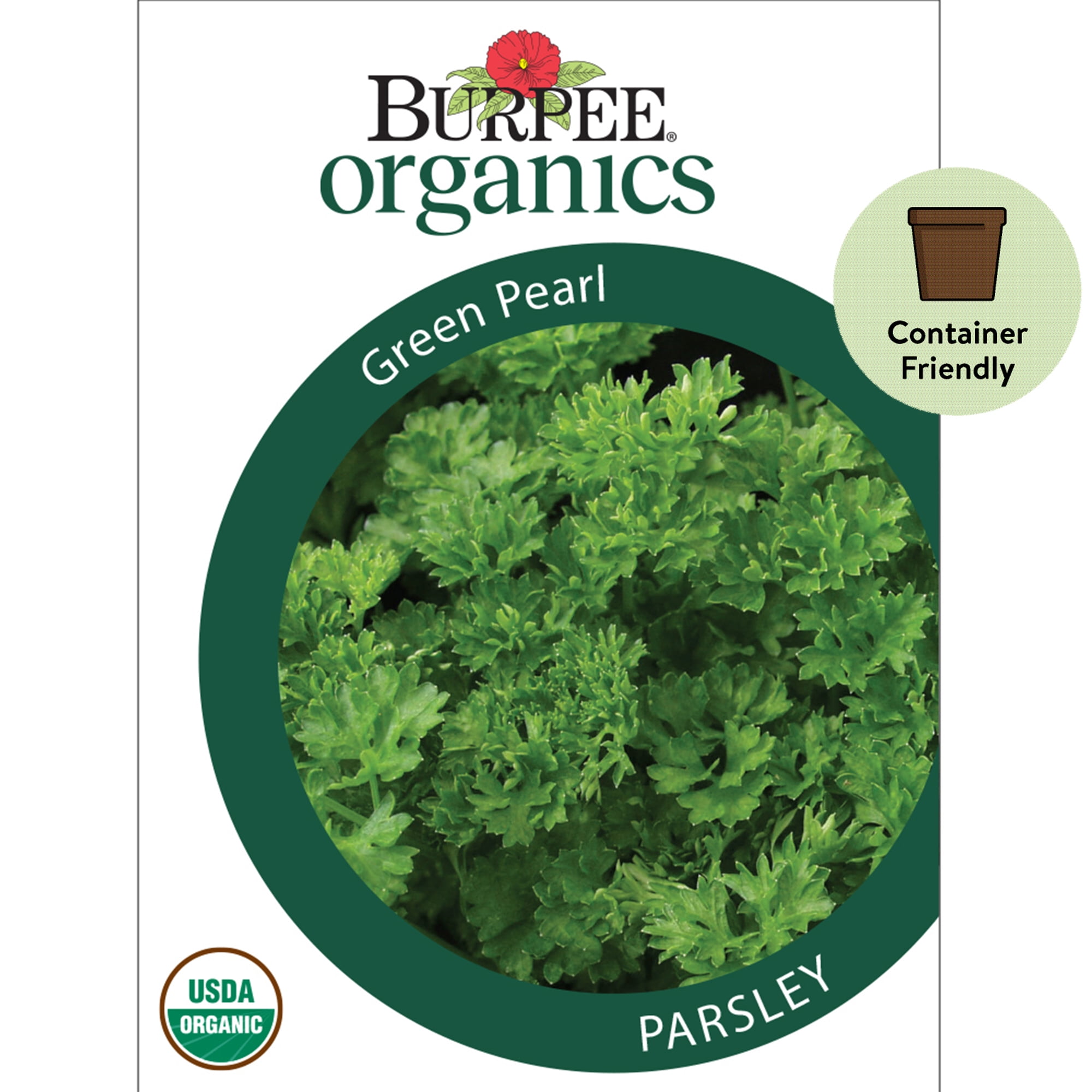 Burpee Organic Green Pearl Parsley Herb Seed, 1-Pack - Walmart.com