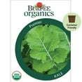 Burpee Organic Premier Kale Vegetable Seed, Annual Vegetable, Full Sun ...