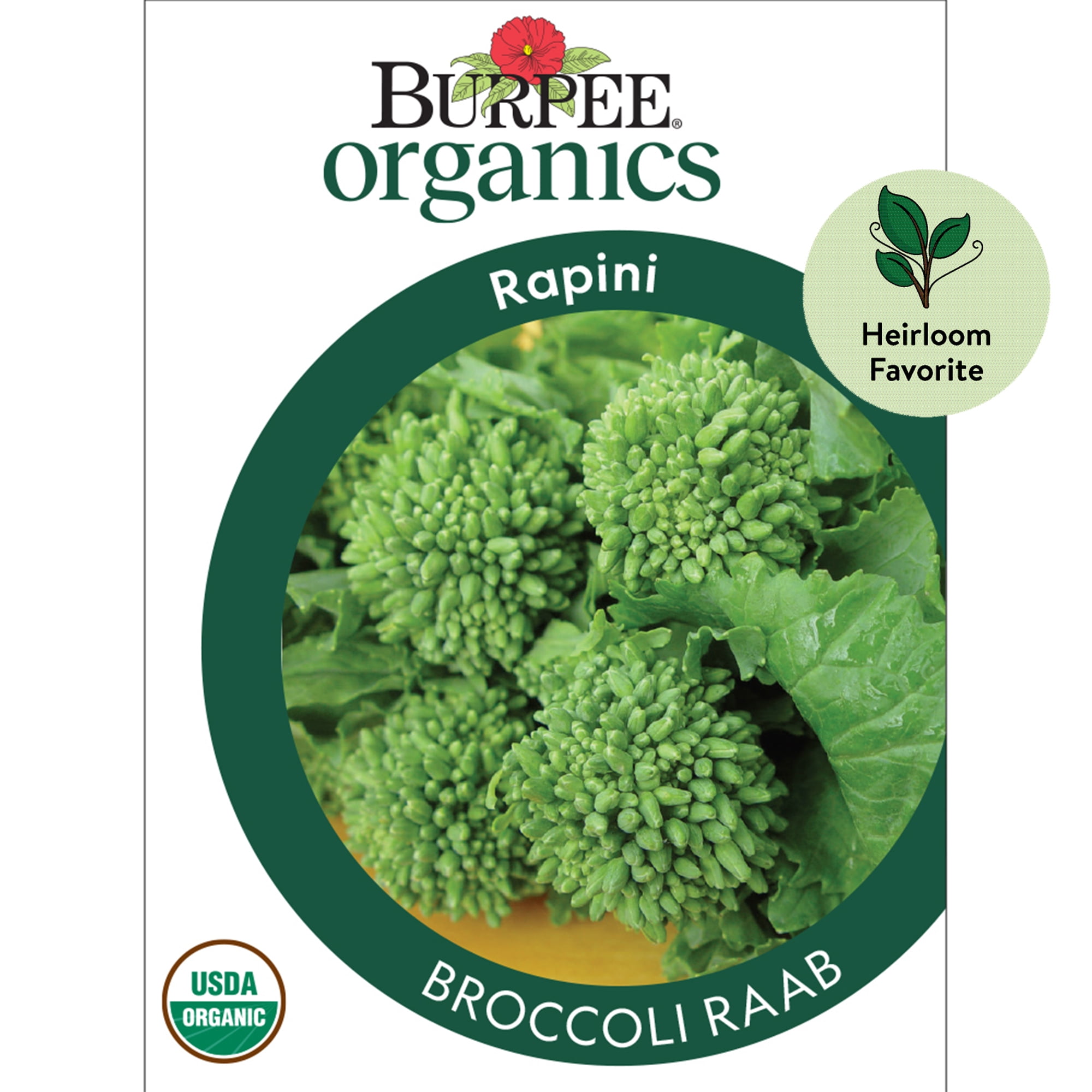 Burpee Organic Rapini Broccoli Raab Vegetable Seed, 1-Pack, Full Sun ...