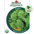 Burpee Organic Rapini Broccoli Raab Vegetable Seed, 1-Pack, Full Sun ...