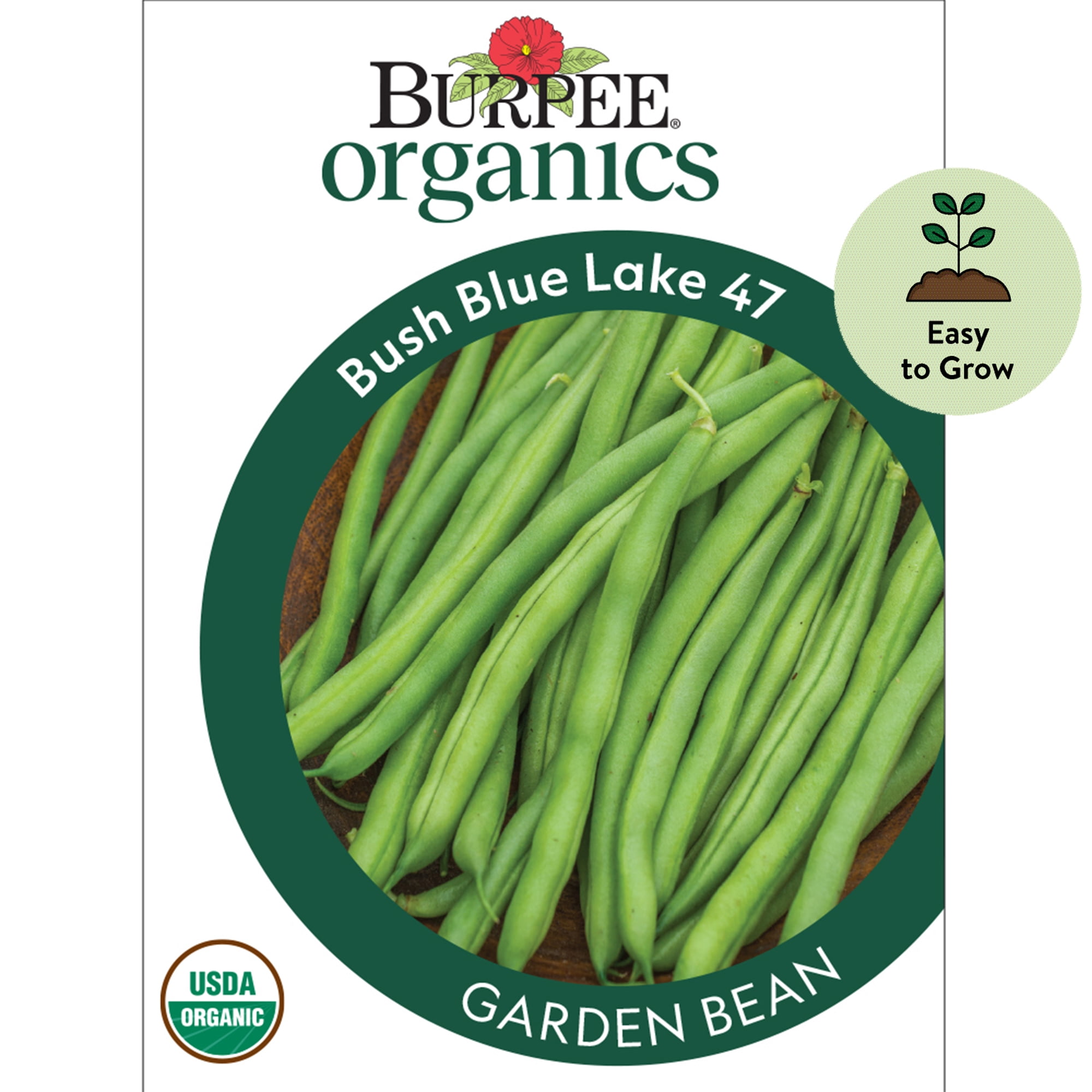 Burpee Organics Bush Blue Lake 47 Garden Bean Seeds - Non-GMO, Bush ...