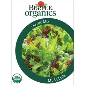 Burpee in Patio & Garden - Walmart.com