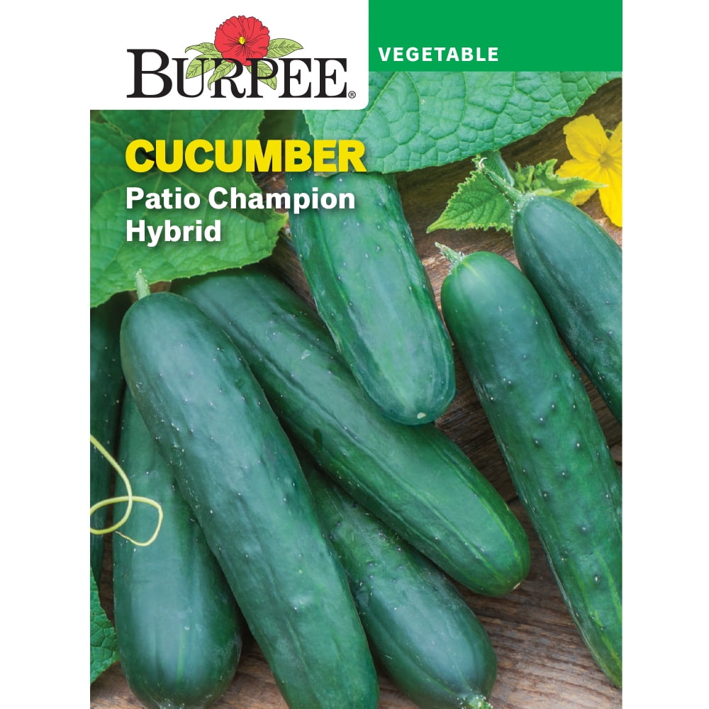 Burpee Patio Champion Hybrid Cucumber Vegetable Seed, 1-Pack - Walmart.com