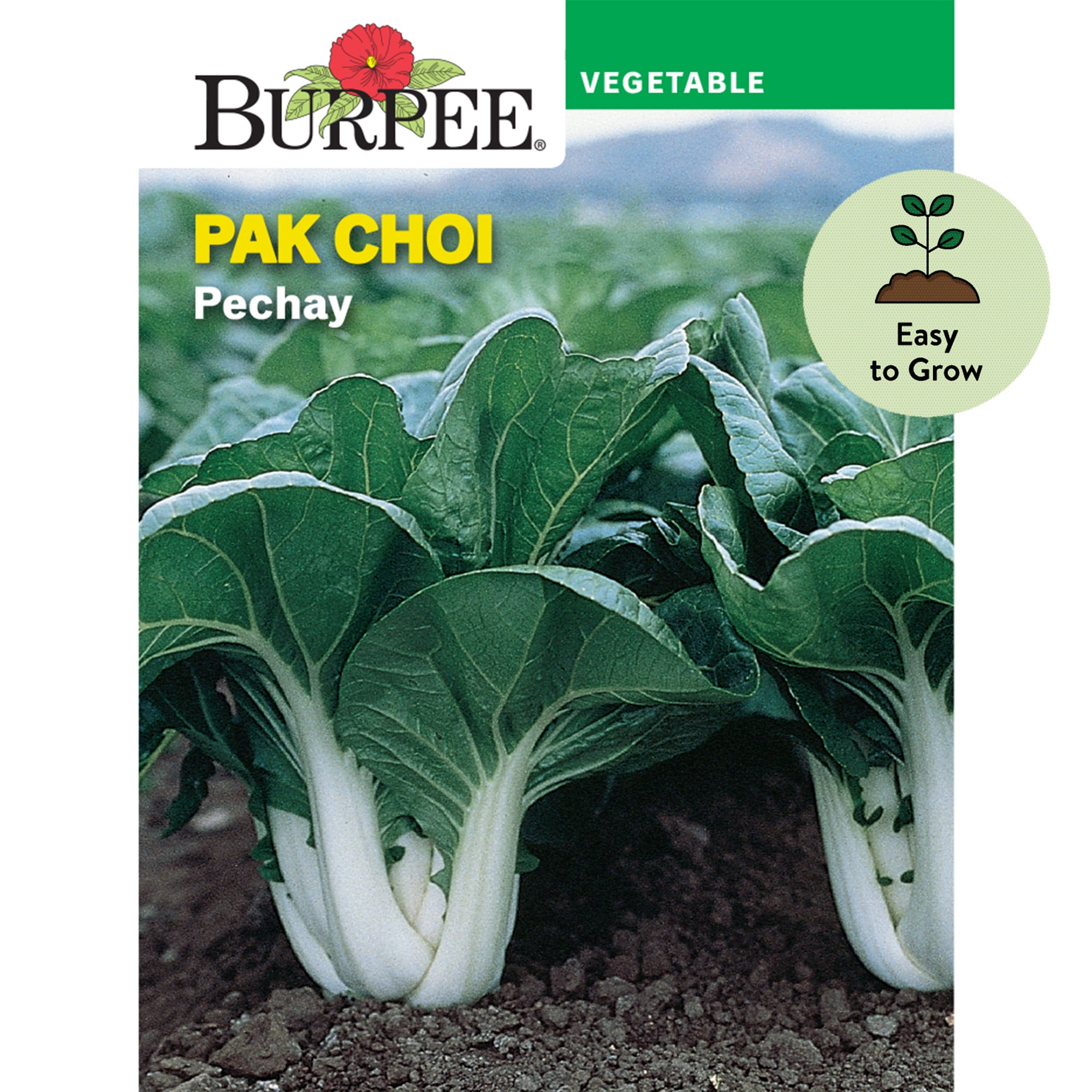 Burpee Pechay Pak Choi Chinese Cabbage Vegetable Seed, 1-Pack - Walmart.com