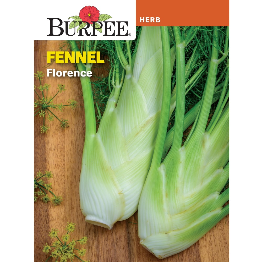 Burpee Perennial Fennel Florence Plant Seeds - Walmart Business Supplies