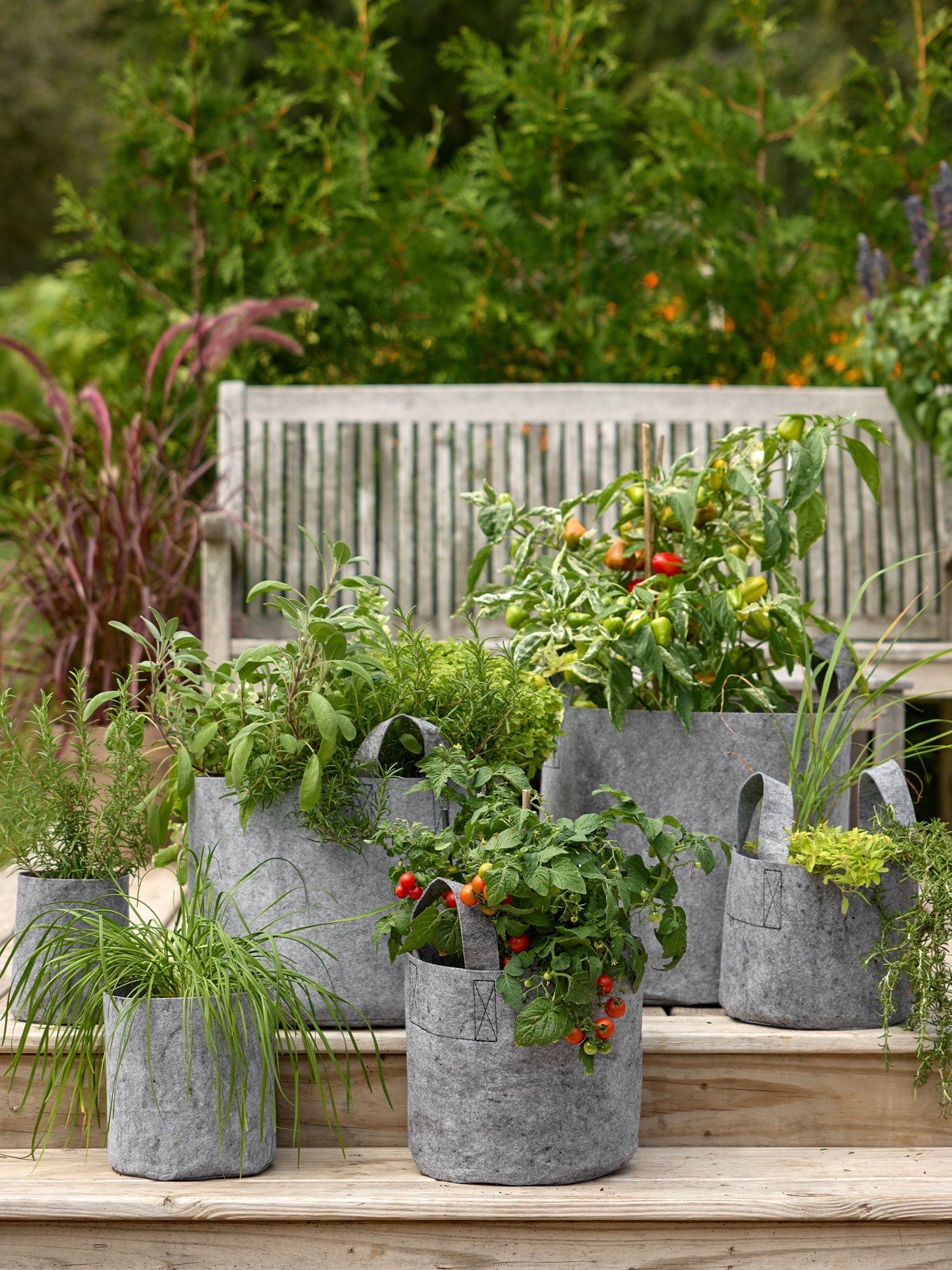 Burpee Root Pouch 3 gallon fabric grow bag - 5-pack - Walmart.com