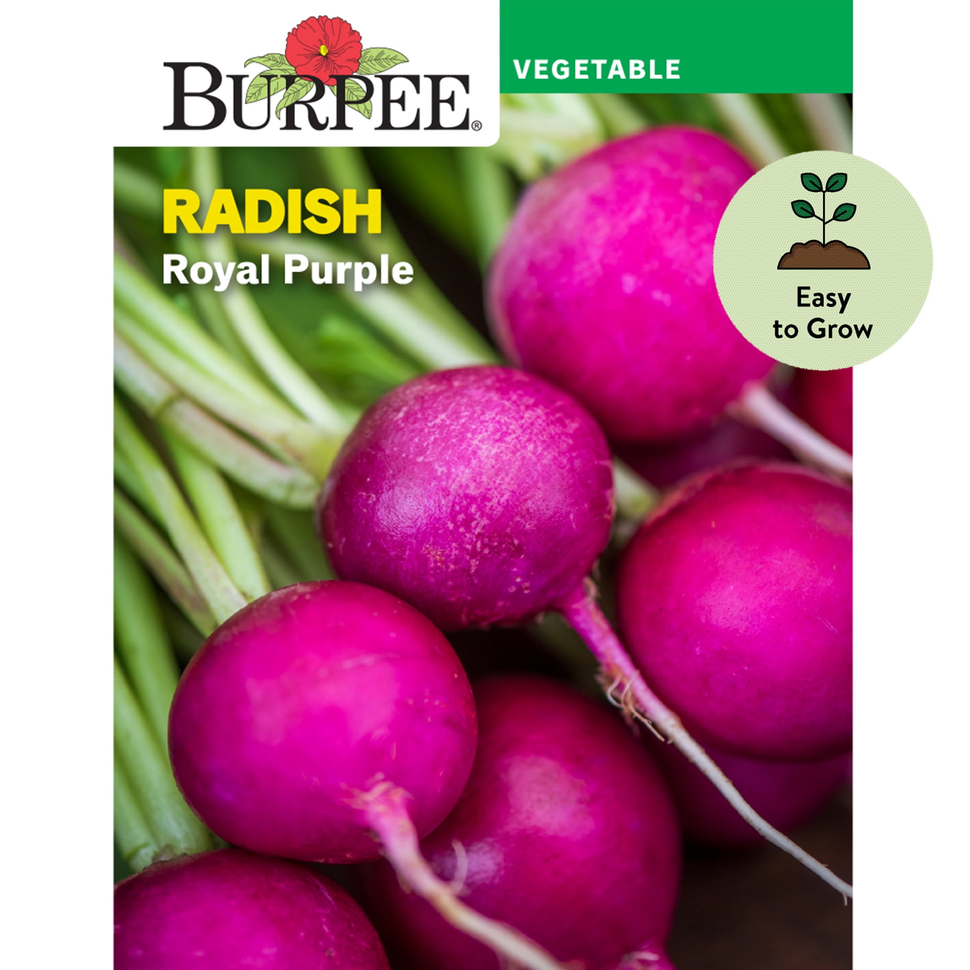 Burpee Royal Purple Radish Seeds - Non-GMO, Easy to Grow, Vegetable ...