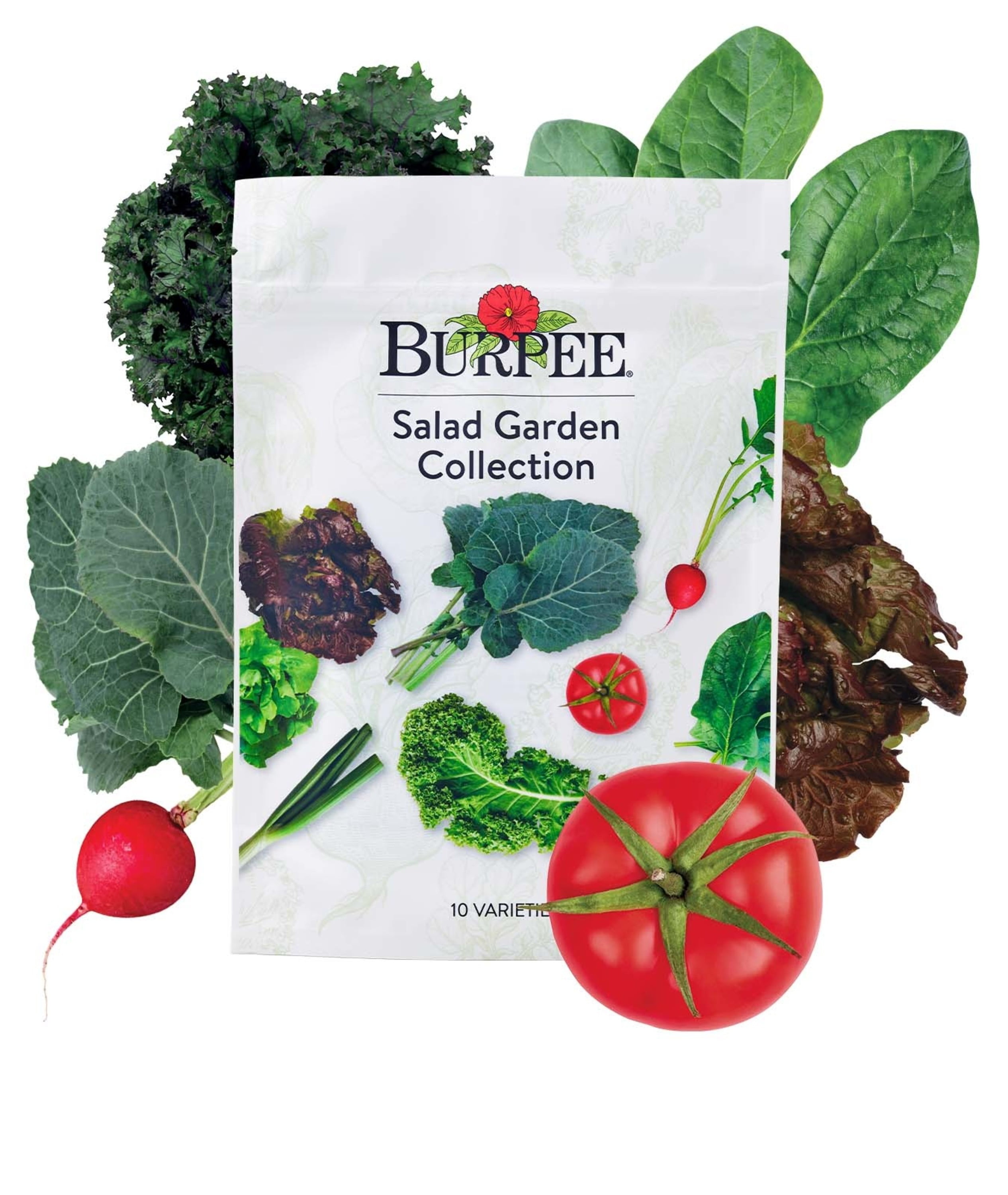 Burpee Salad Garden Seed Collection Vegetable Seeds (10 Pack), Non-GMO ...
