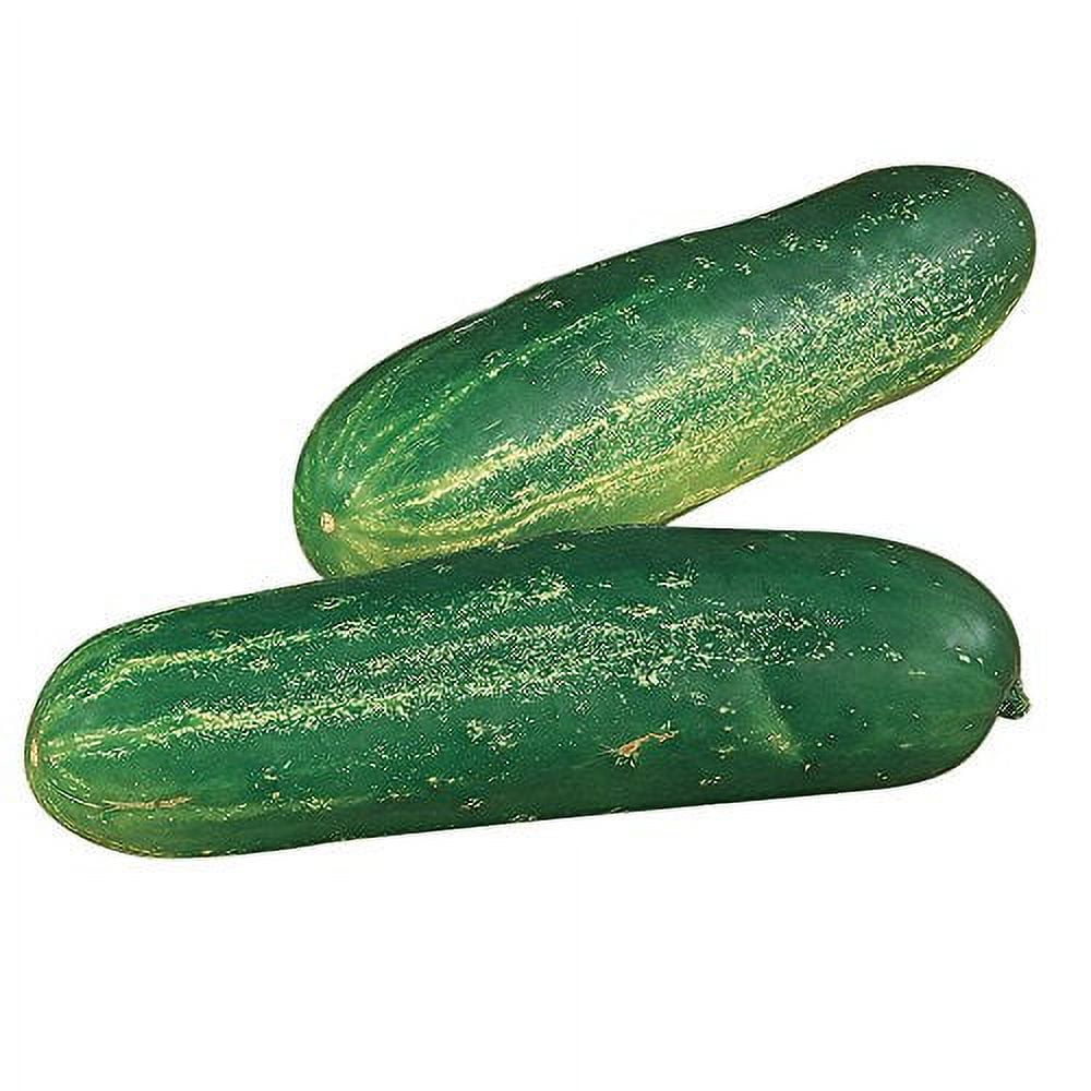 Burpee Straight Eight Slicing Cucumber Seeds 200 seeds - Walmart.com