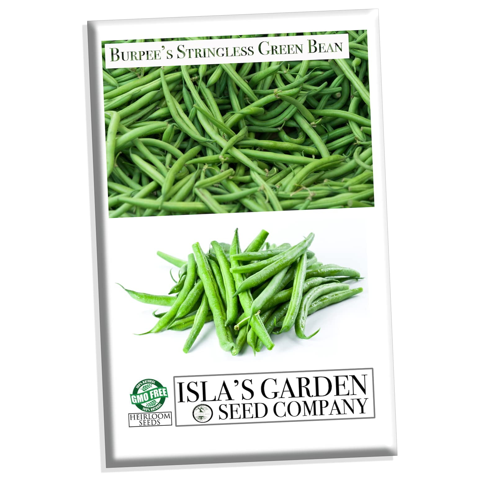Burpee Stringless Green Bean Seeds for Planting, H2FSD50+ Seeds Per ...