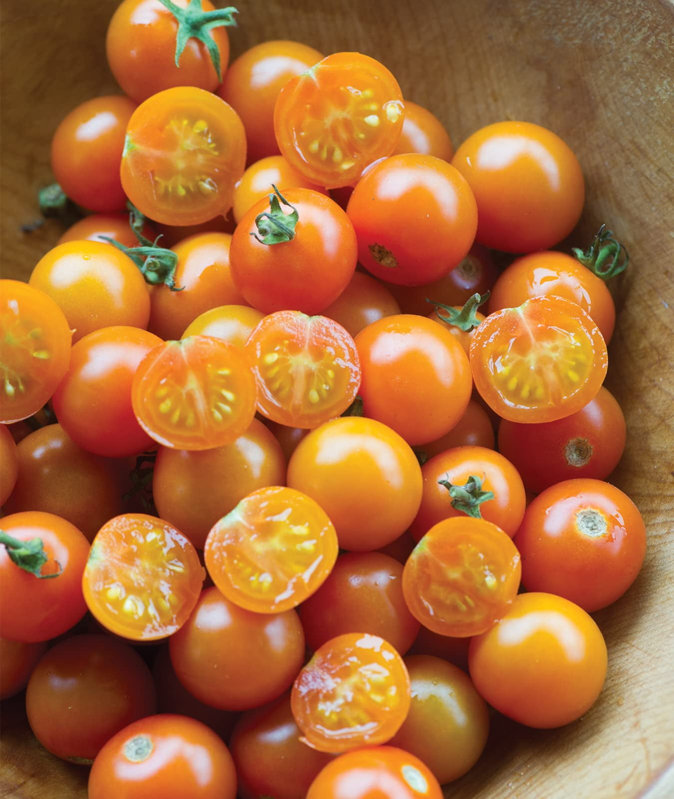 Burpee 'Sun Gold' Hybrid , Sweet Orange Cherry Tomatoes , 30 Non-GMO ...